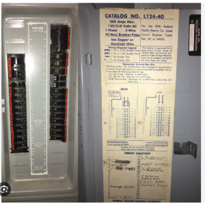 Dangerous Electrical Panels: Protect Your Home